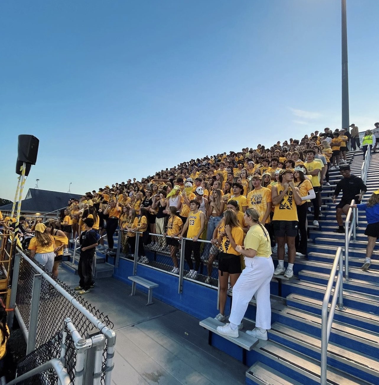 2023 ILLINOIS FINAL TOP 40 FOOTBALL STUDENT SECTION RANKINGS – The ...